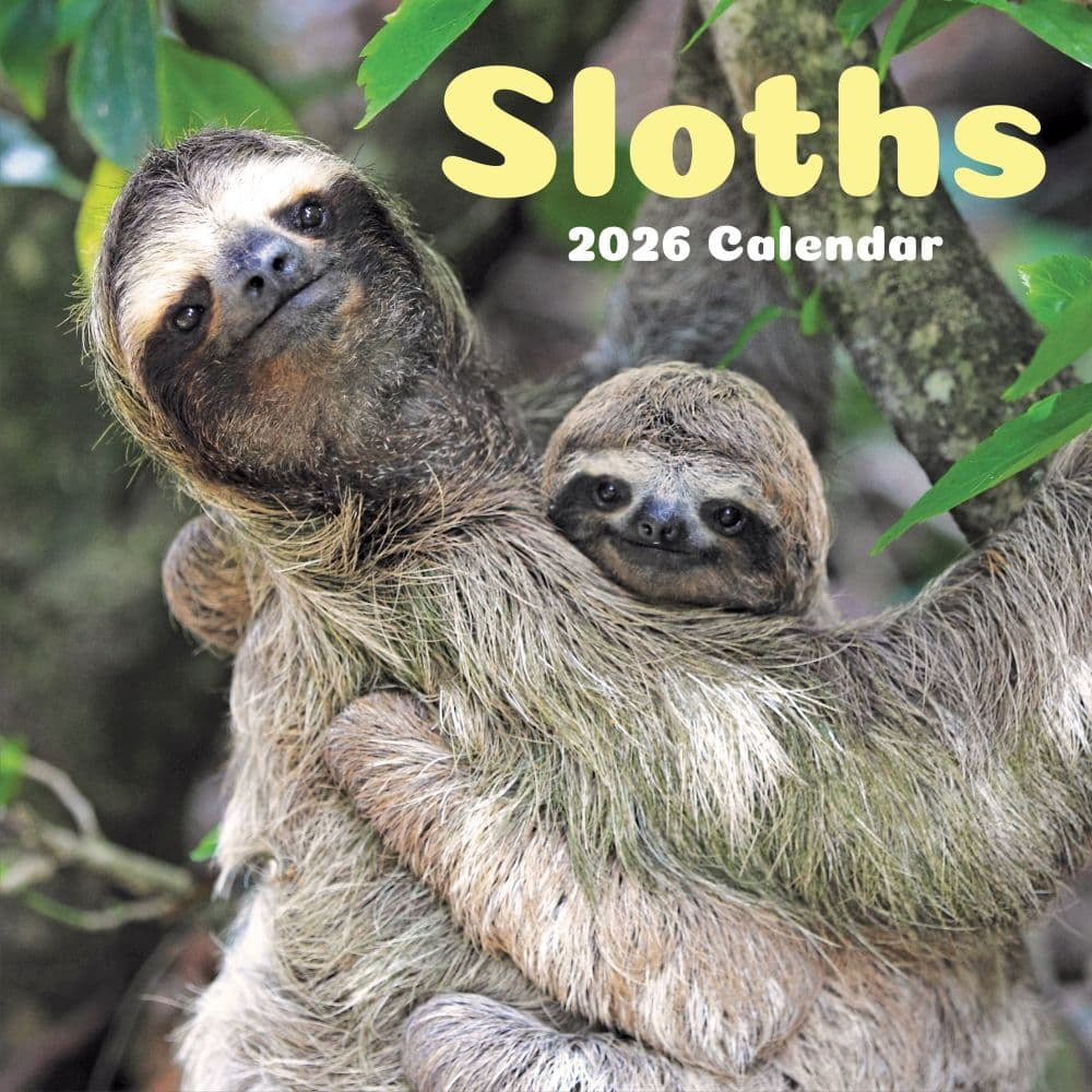 TF Publishing, Sloths 2026 Wall Calendar, 12'' X 12'', 12-Month ...