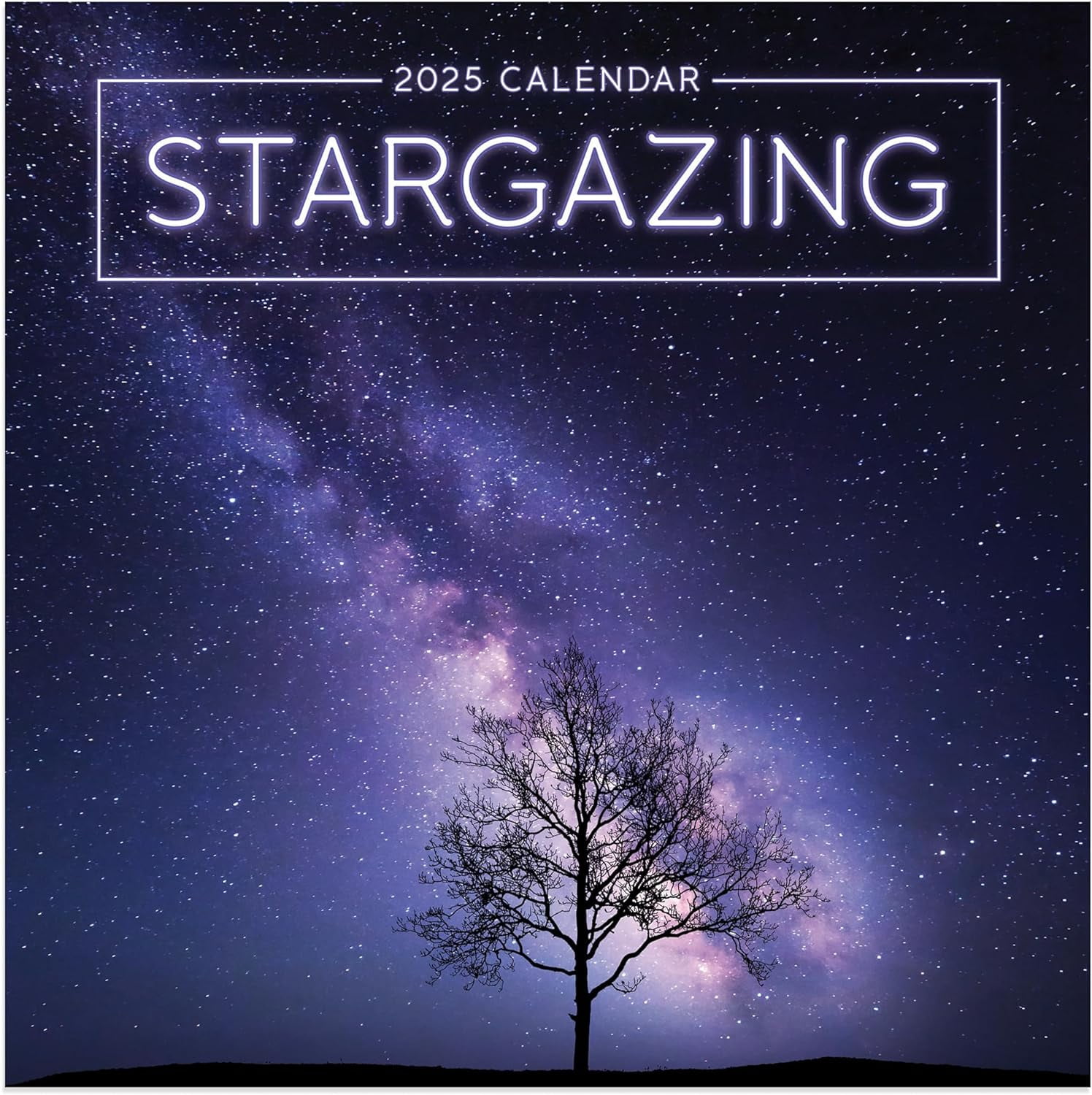 TF Publishing, Stargazing 2025 Mini Wall Calendar - Walmart.com