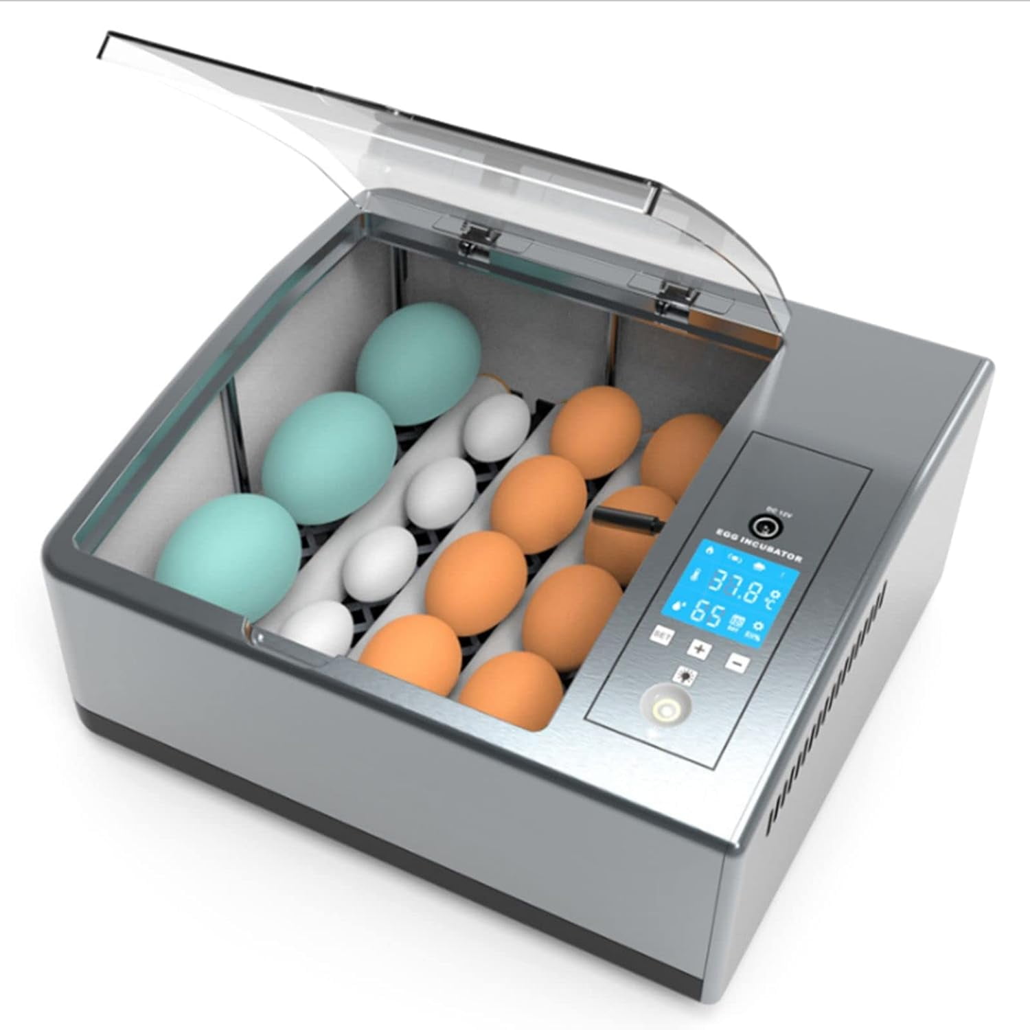 TFCFL 16 Eggs Incubator Set with Automatic Temperature Control, Smart ...