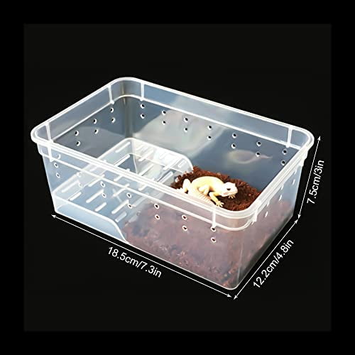 TFCFL 220V Feeding Cabinet Transparent Breeding Cabinet with Heating ...