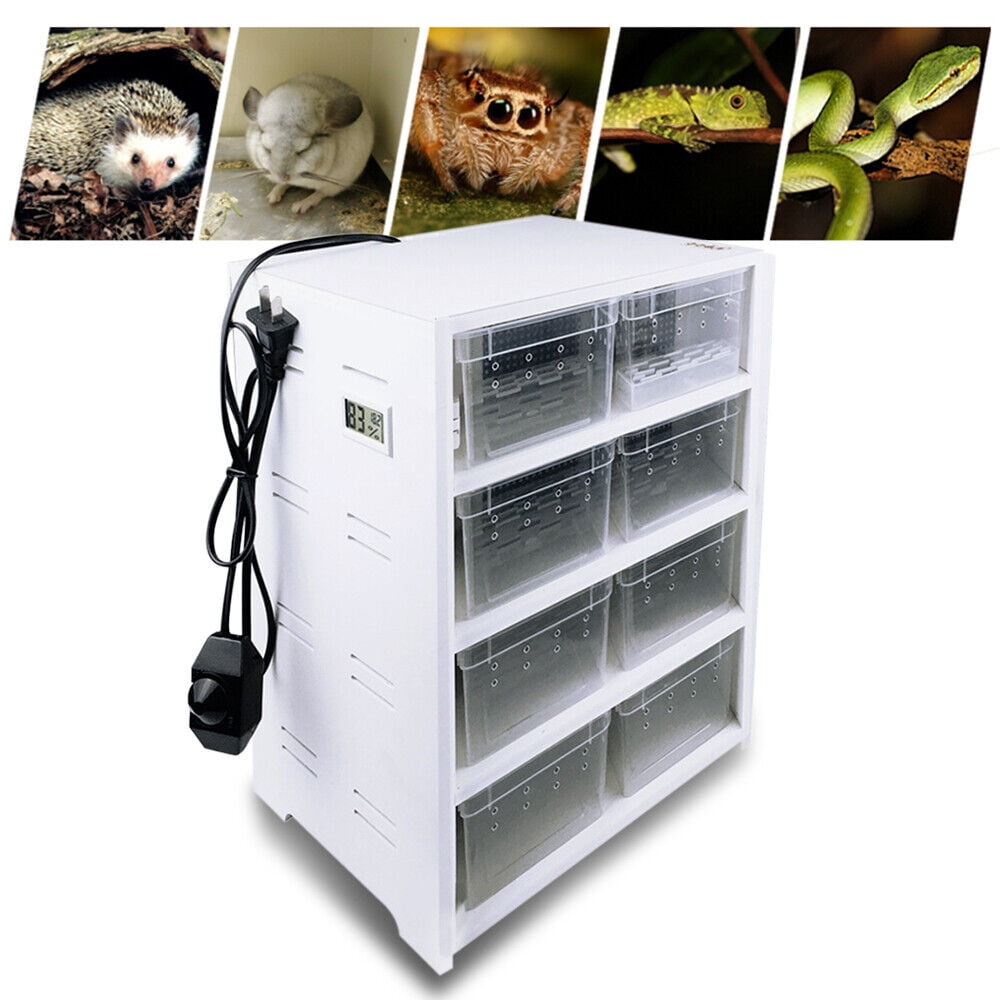 TFCFL 8 Grid Acrylic Reptile Enclosure Cage Pet Terrarium Feeding Tank ...