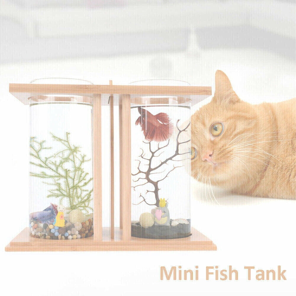 TFCFL Dual Glass Desktop Fish Tank Home Office Goldfish Betta Aquarium ...