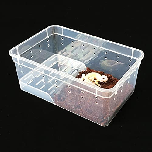 TFCFL Reptile Breeding Cabinet with Hygrometer Thermostat, 8PCS Feeding ...