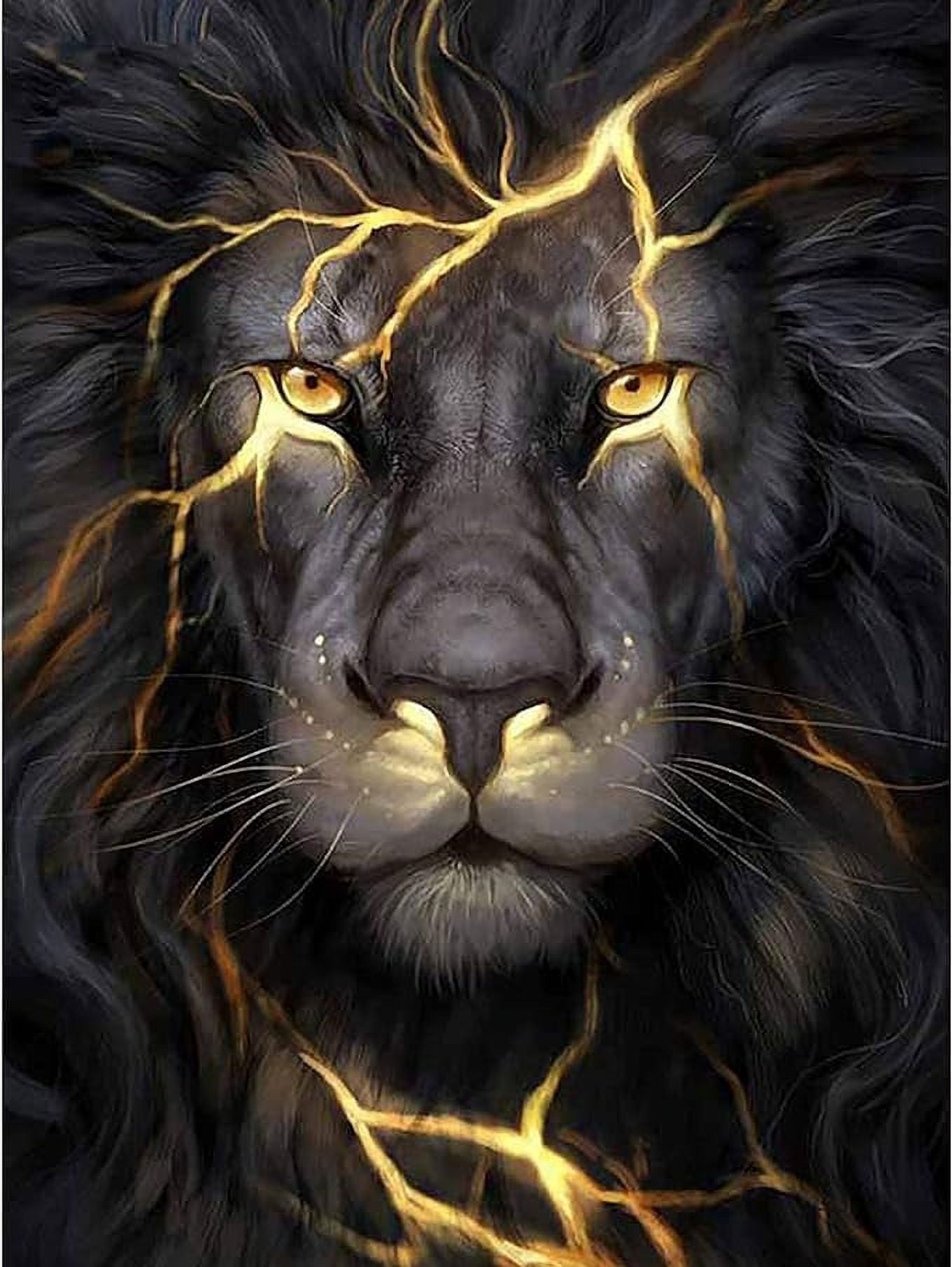 TFMYDiamond Painting Kits Black Lion 5D Diamond Art Kit Full Square Drill Painting Kit For ...