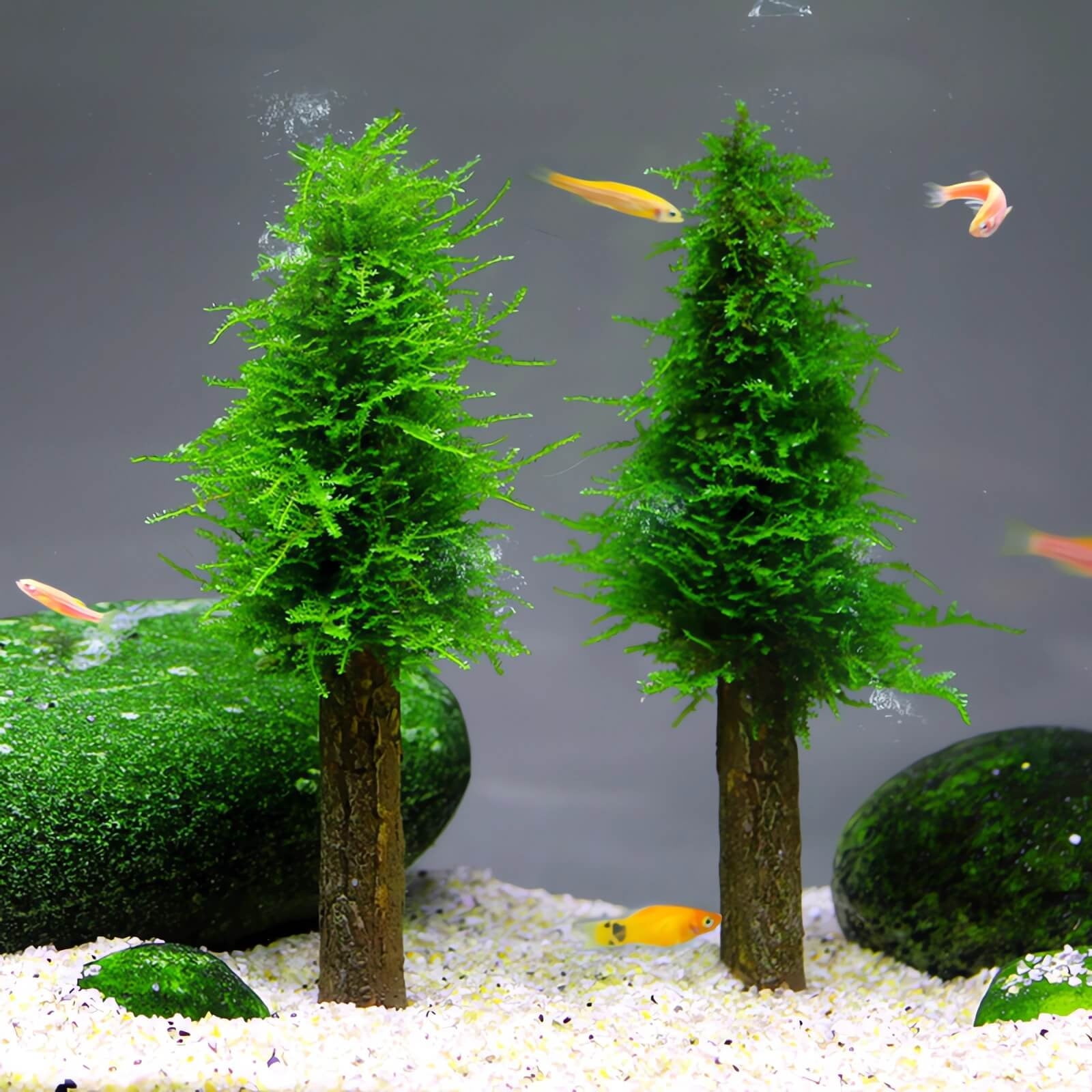 TFYZYY Aquarium Christmas Tree Moss Skeleton Decorative Structure for ...