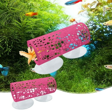 SeeShelter Brand Betta Tunnel in Translucent Clear Fish Hide Enrichment ...