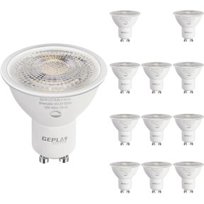 2 Prong Light Bulb