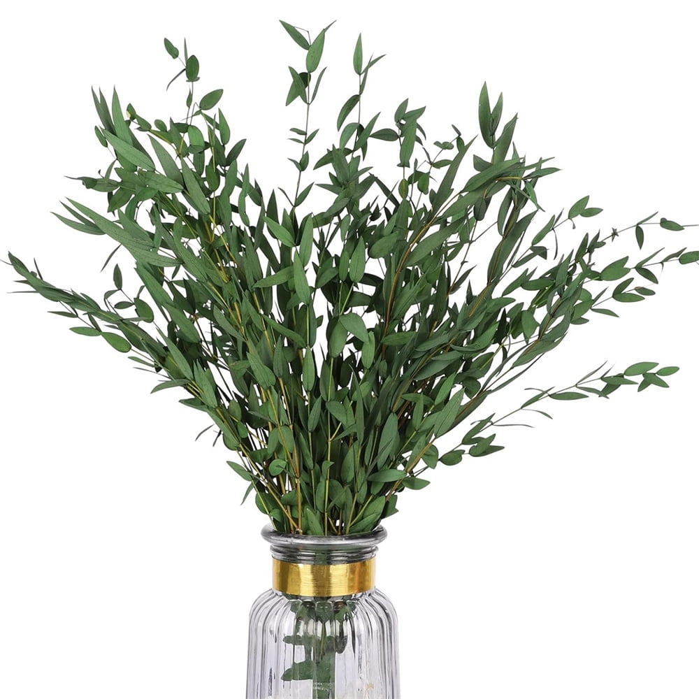 TGY Fine leaved Eucalyptus Bouquet,Real Dried Eucalyptus Stems,Natural ...