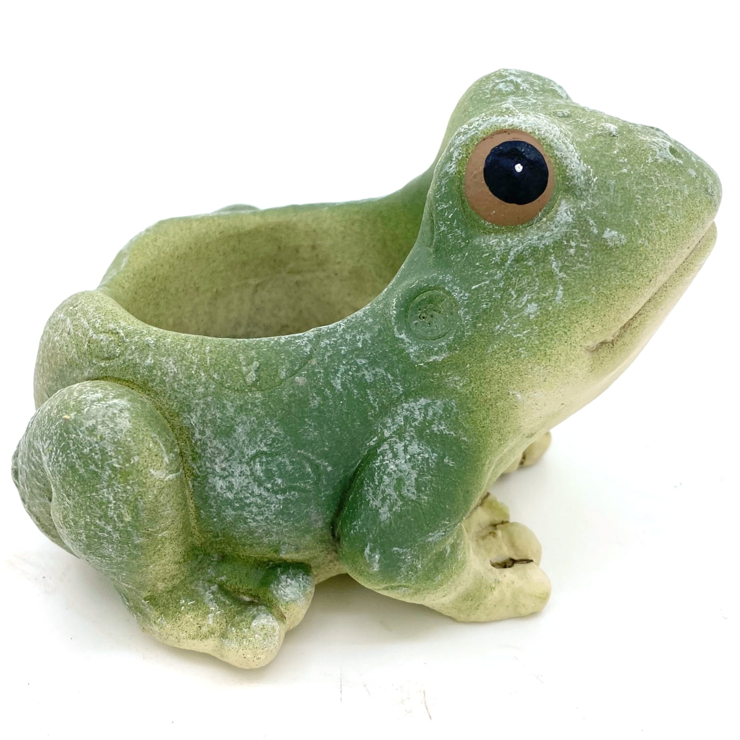 THE JOY TREE Frog Planter for Succulents - Small Cement Animal Pot ...