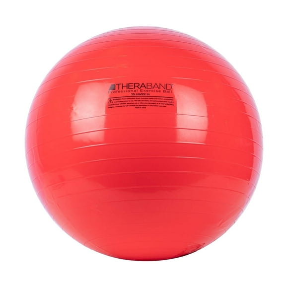 Reactor by Champion Barbell™ Handheld Fitness Ball - Walmart.com