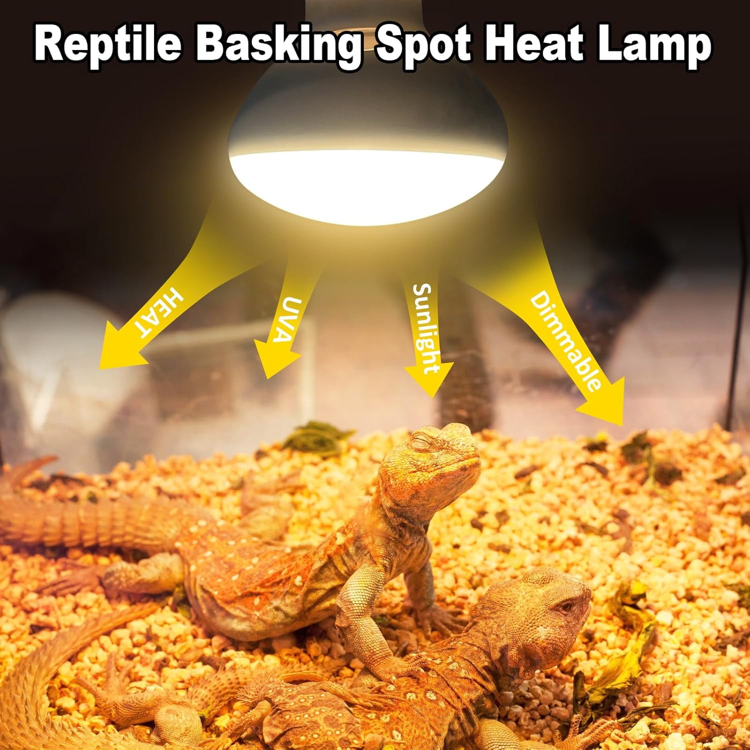 THESG-100W Reptile Heat Lamp Bulbs, 2Pack Heat Lamp Bulbs for Reptiles Basking Bulbs UVA ...