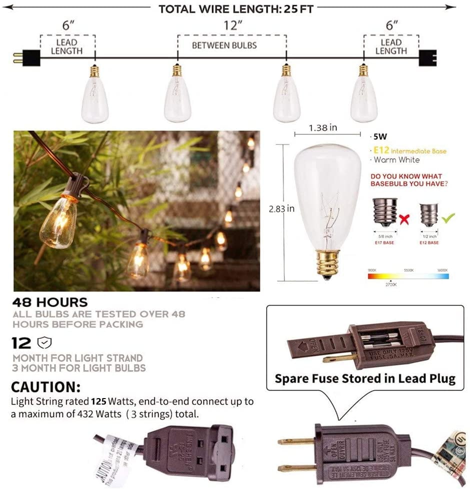 THESG-25FT Outdoor Edison Bulb String Lights with 27 Clear Edison Bulbs ...