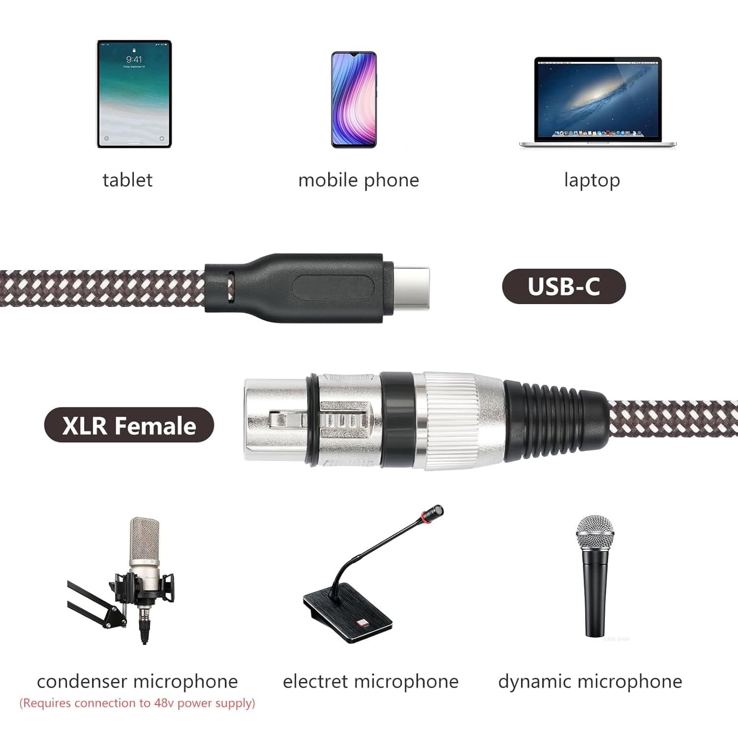 THESG-3.3 FT USB C to XLR Female Cable for Microphone, Dynamic ...