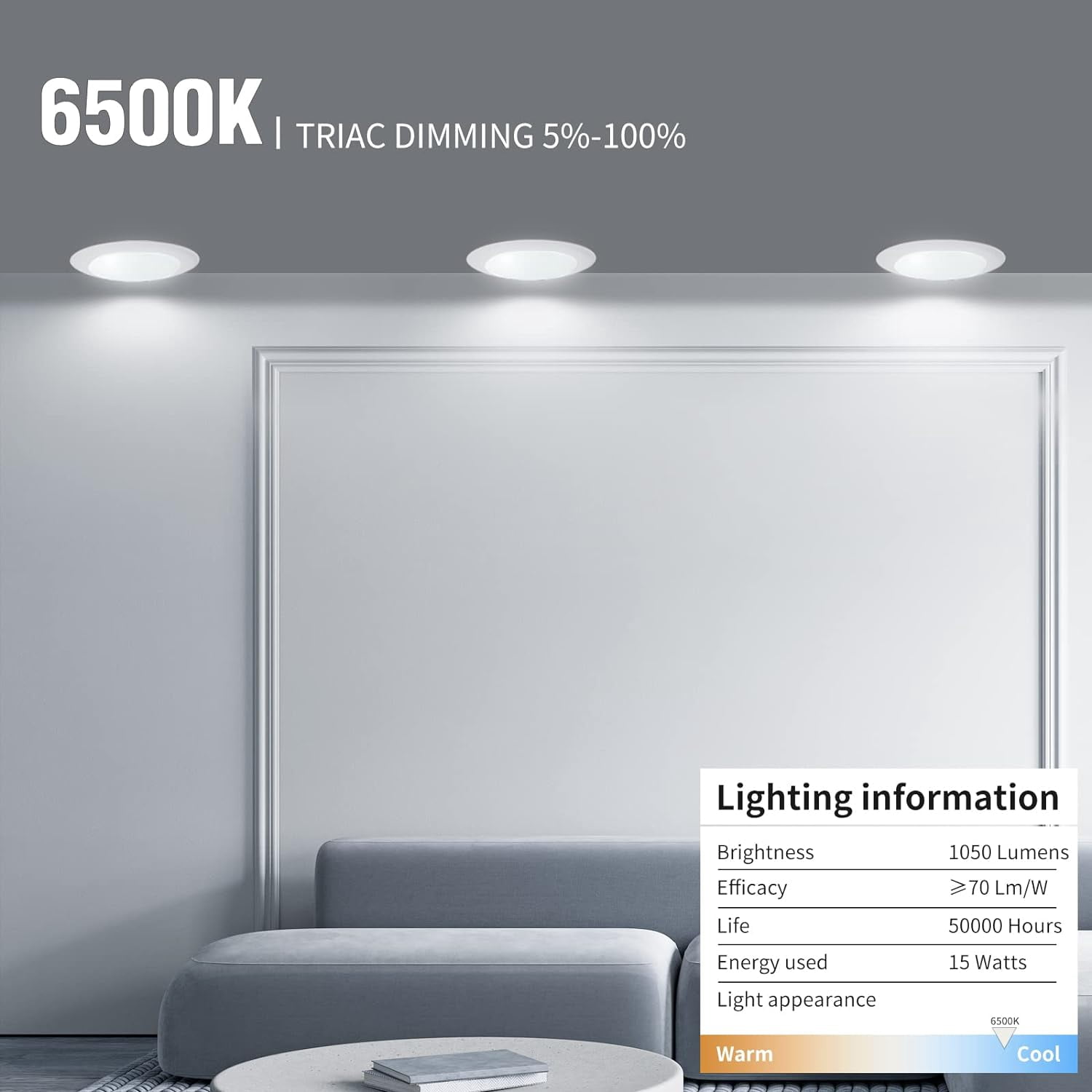 THESG-6in Dimmable LED Flush Mount Ceiling Disk Lights, 16.5W, Dimmer ...
