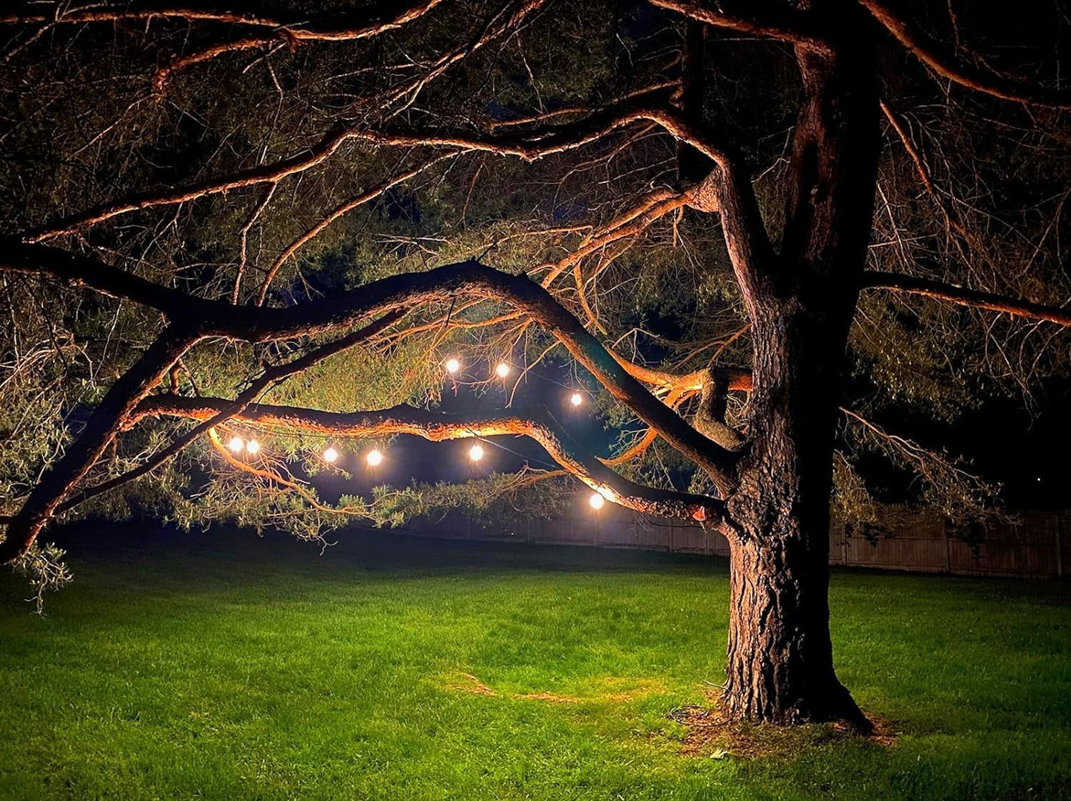 THESG-LED Shatterproof String Lights Commercial Grade with 15 Hanging ...