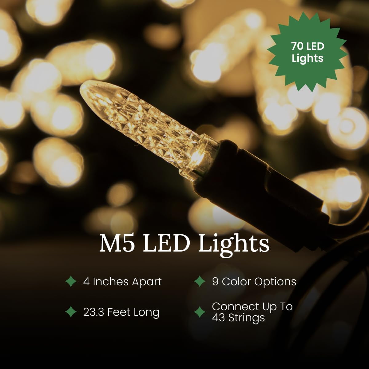 THESG-Pro Christmas M5 LED Holiday Lights - 70 Bulbs, 23.3ft ...