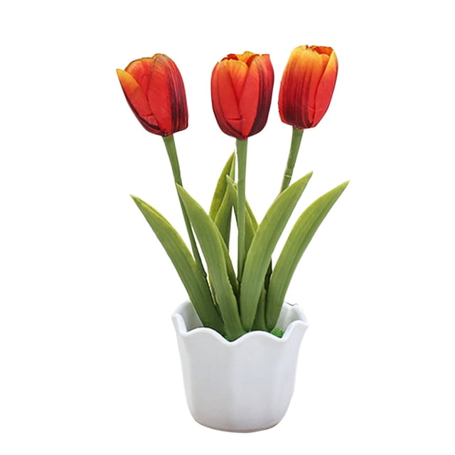 THHEIC Three-Headed Tulips Flower Bonsai, Creative Ornamental Plant for ...