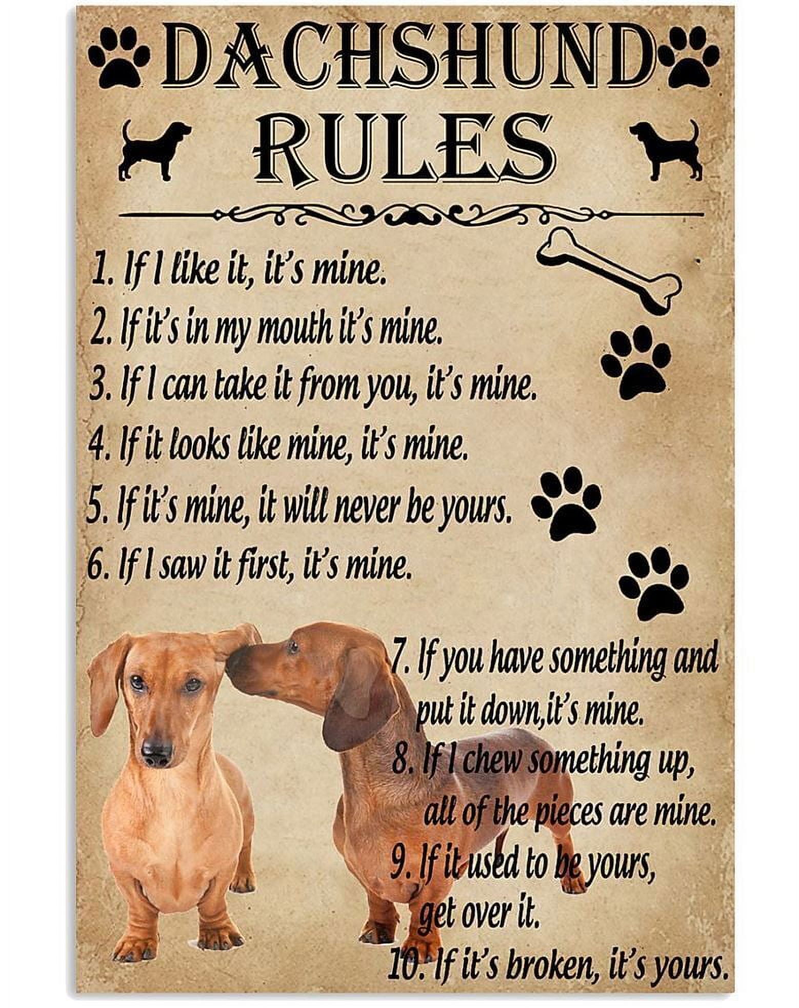 THIYOTA Funny Rules For Your Dog Dachshund Poster Art Print Gift For ...