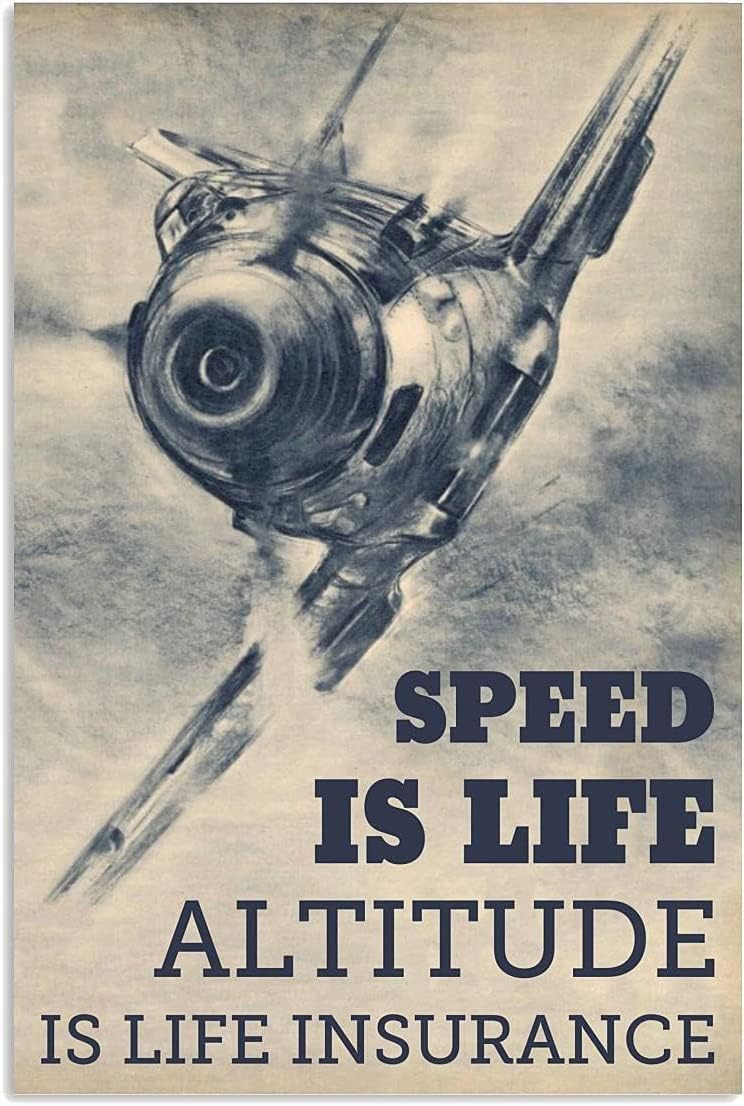 THIYOTA Puzzles 300 PCS Airplane Retro Speed Is Life Altitude Is ...