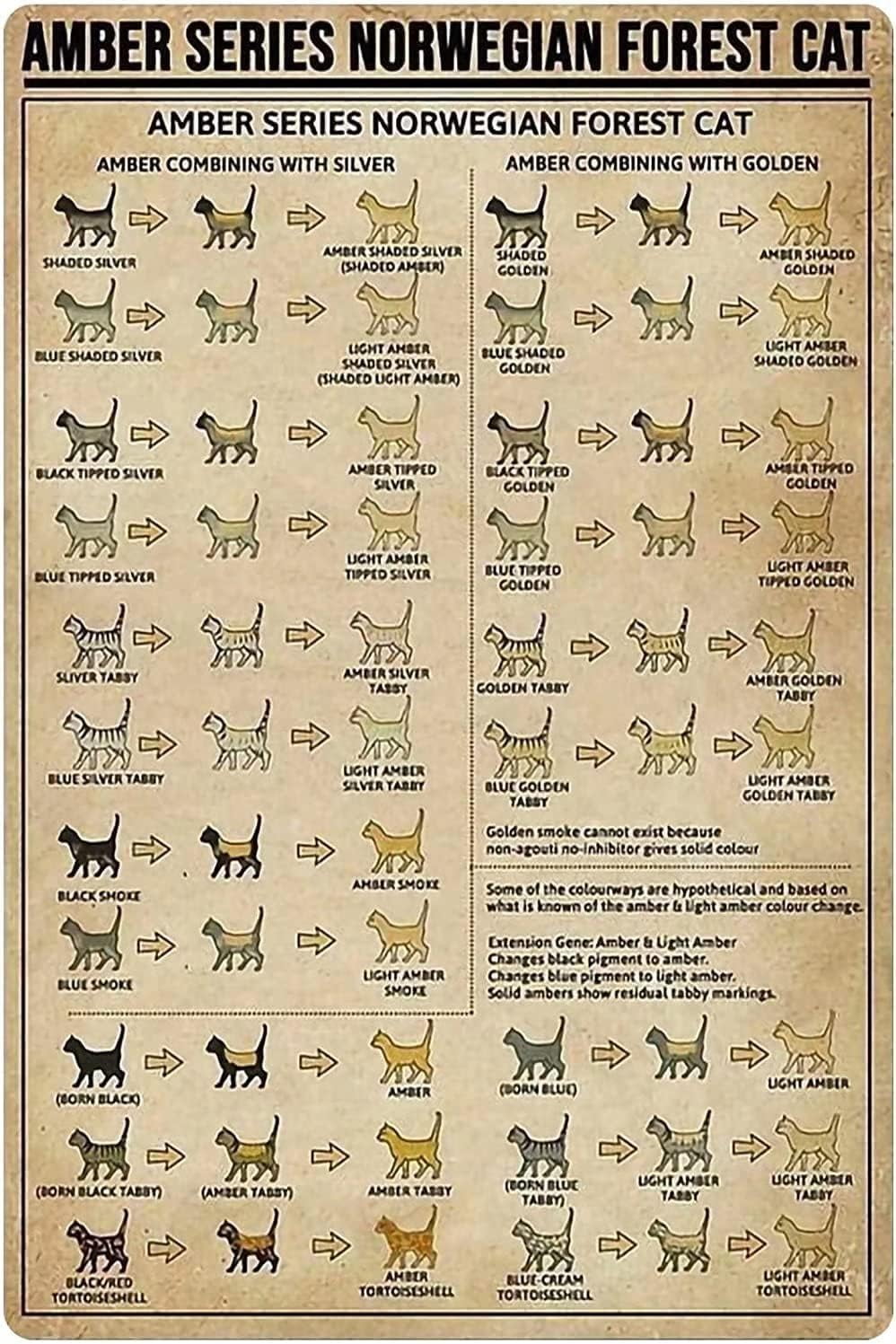 THIYOTA Puzzles 300 PCS Bison Knowledge Poster Anatomy Of Bison Popular ...