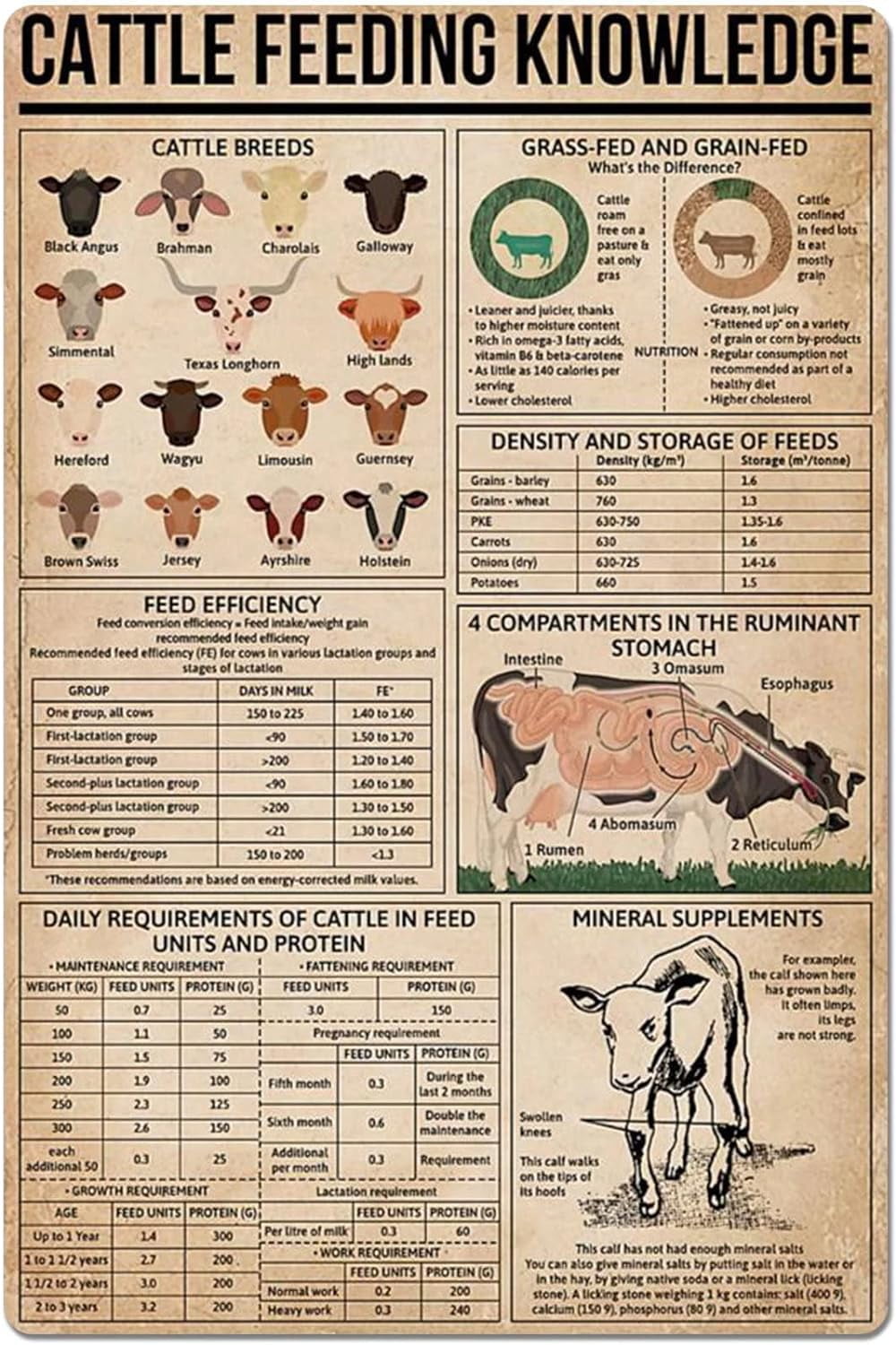 THIYOTA Puzzles 300 PCS Cattle Feeding Knowledge Illustrated Poster ...