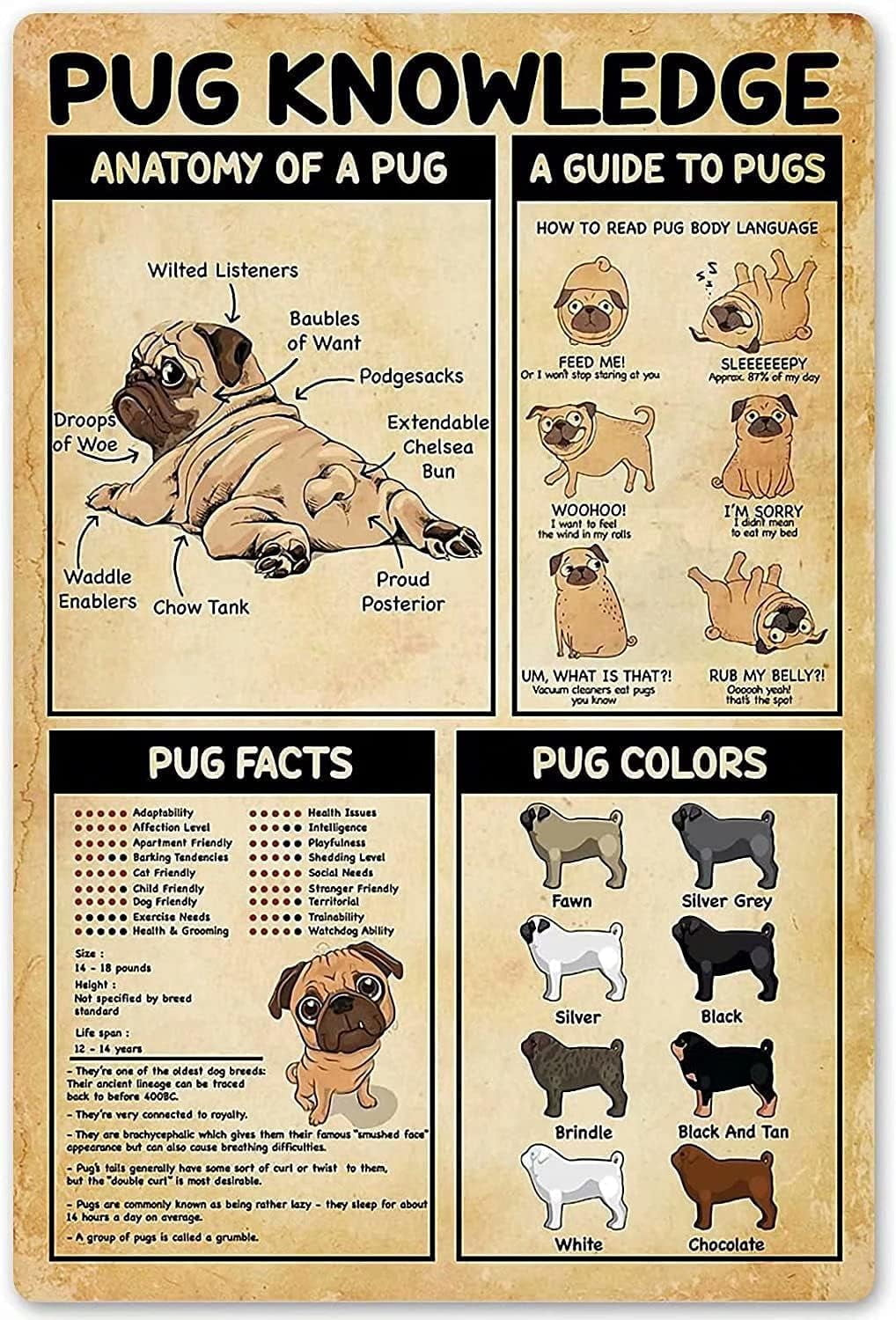 THIYOTA Puzzles 300 PCS Dog Reference Guide Shetland Sheepdog Knowledge ...