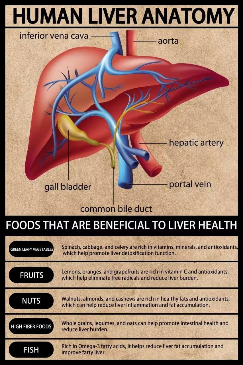 THIYOTA Puzzles 300 PCS Kidney Knowledge Human Kidney Anatomy Funny ...