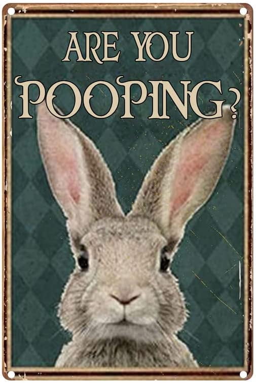 THIYOTA Puzzles 300 PCS Rabbit are You Pooping?Funny Vintage Fine Cave ...