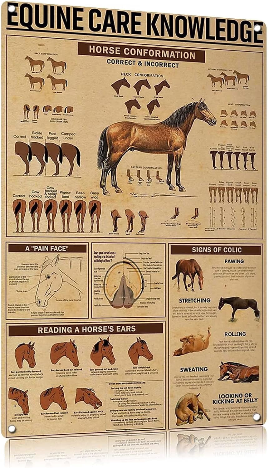 THIYOTA Puzzles 300 PCS Vintagefographic Plaque Animal Science Poster Equine Care Knowledge For ...