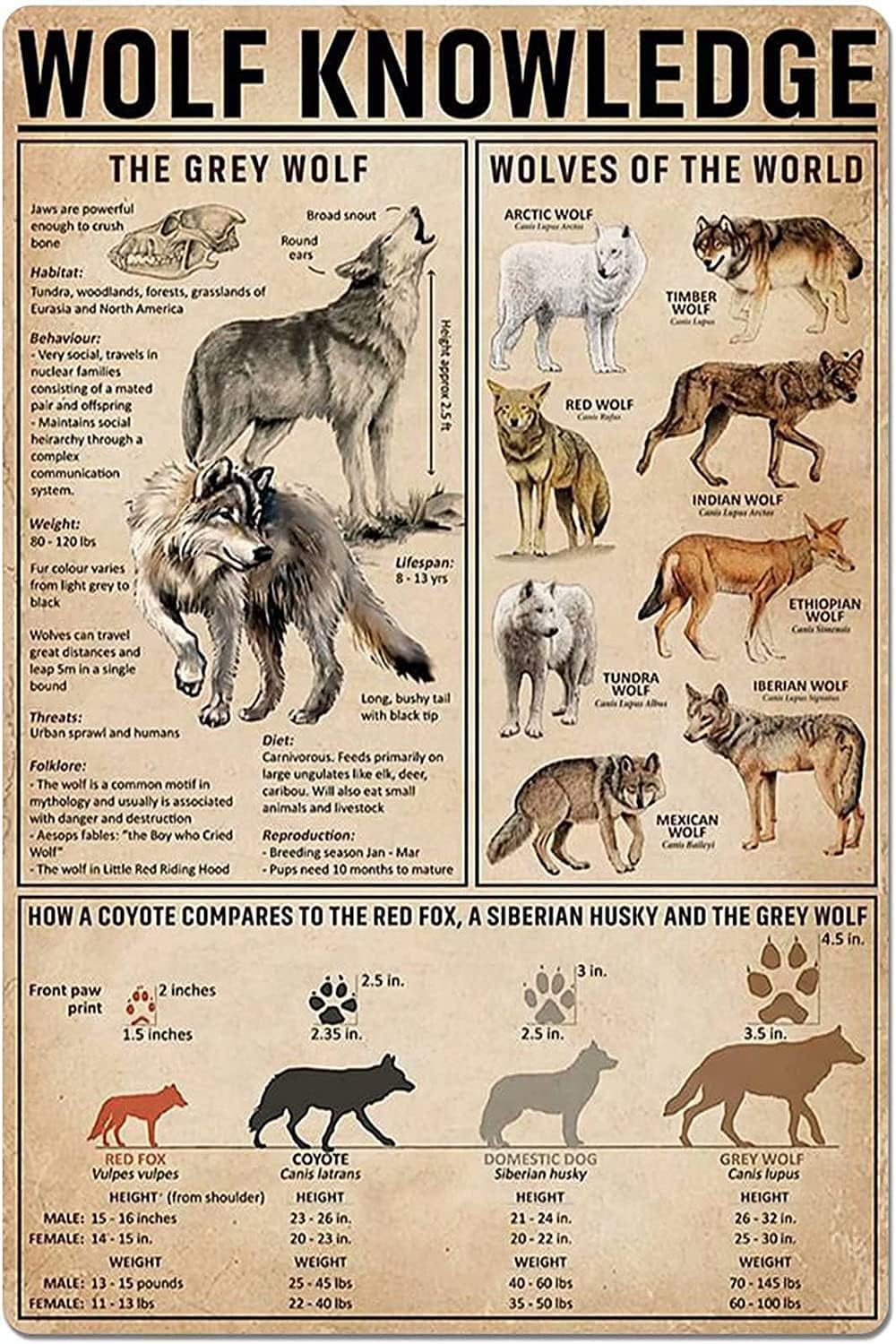 THIYOTA Puzzles 300 PCS Wolf Knowledge Poster Wolves Of The World ...