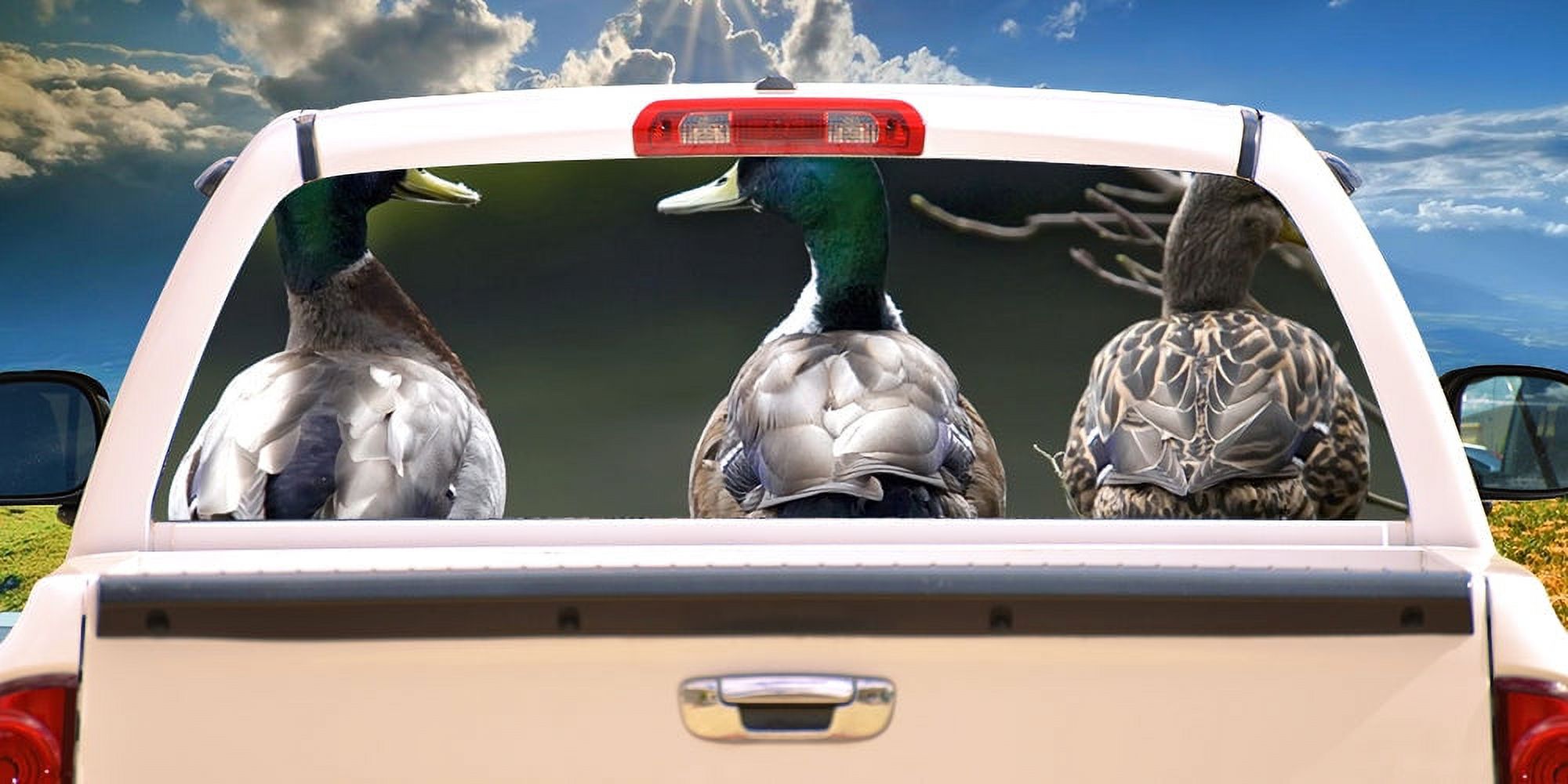 THREE DUCKS Rear Window Graphic back truck decal suv view thru vinyl ...