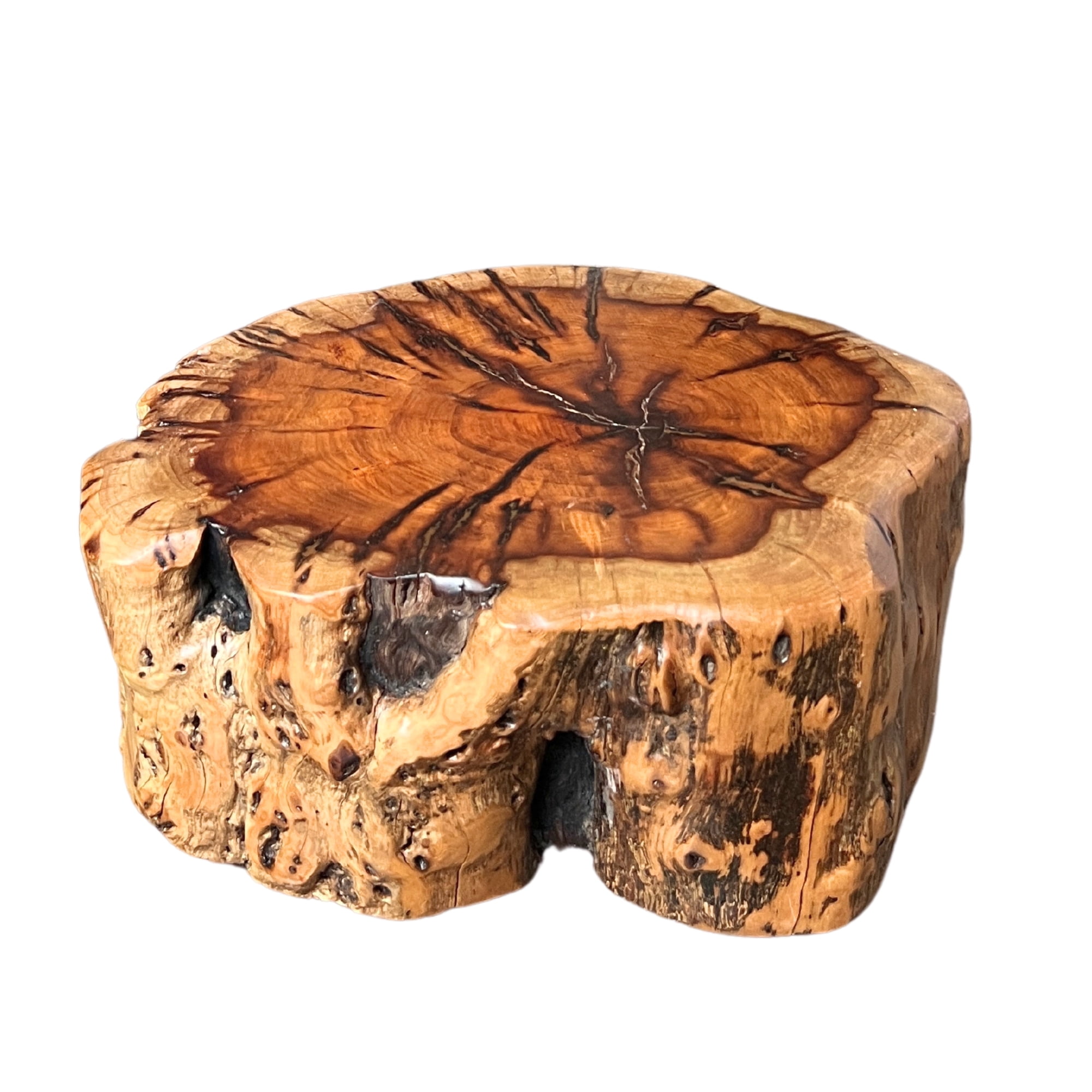 THY COLLECTIBLES Natural Tree Trunk Stump Stool with Live Edge Solid ...