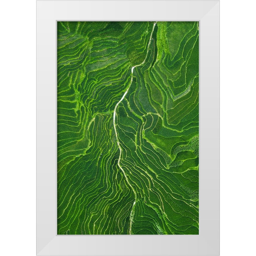 TIANQI 17x24 White Modern Wood Framed Museum Art Print Titled - Vein ...