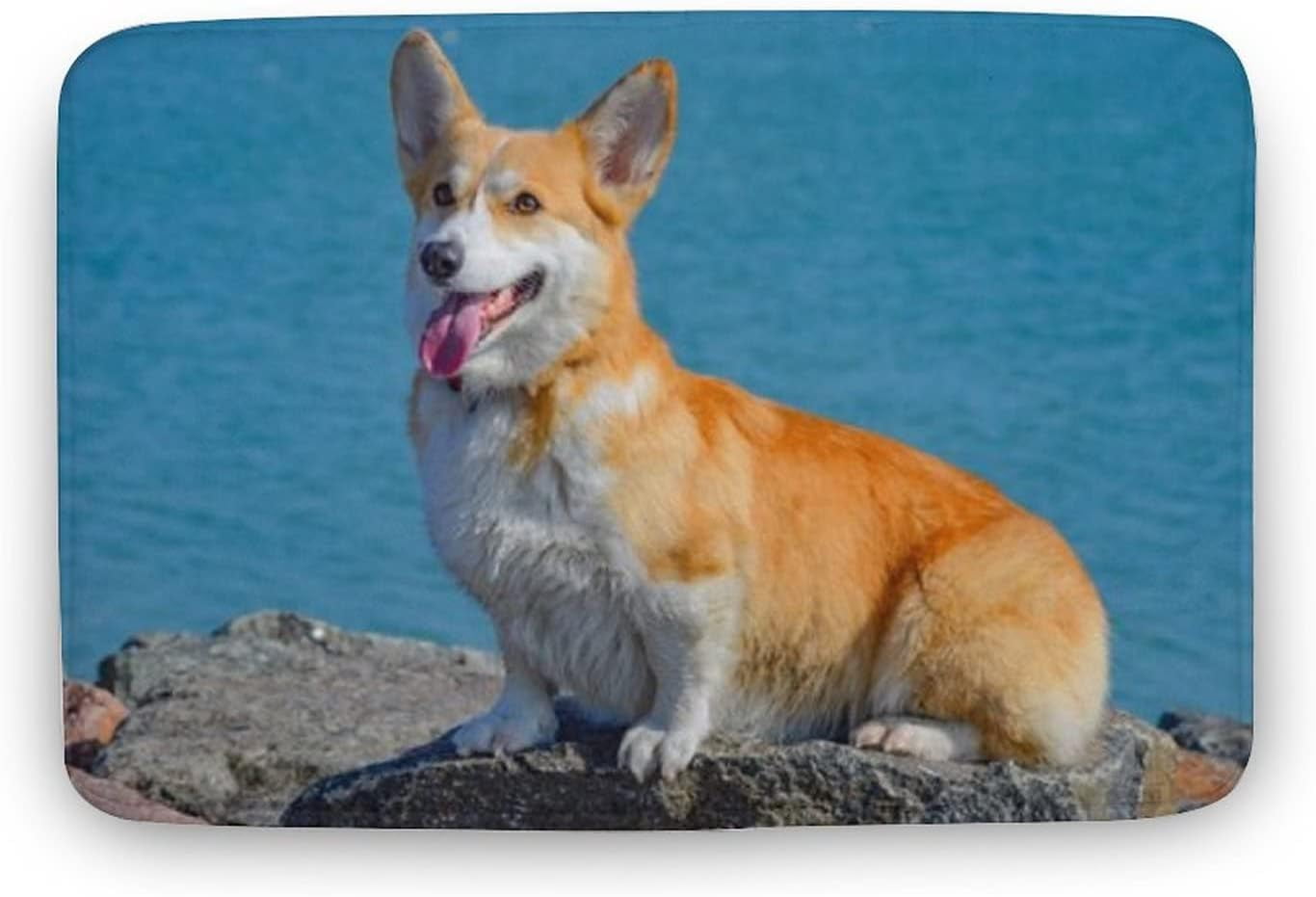 TICKPOT Front Door Mat Welcome Doormat Corgi Dog Pet Animal Cute Doggy ...