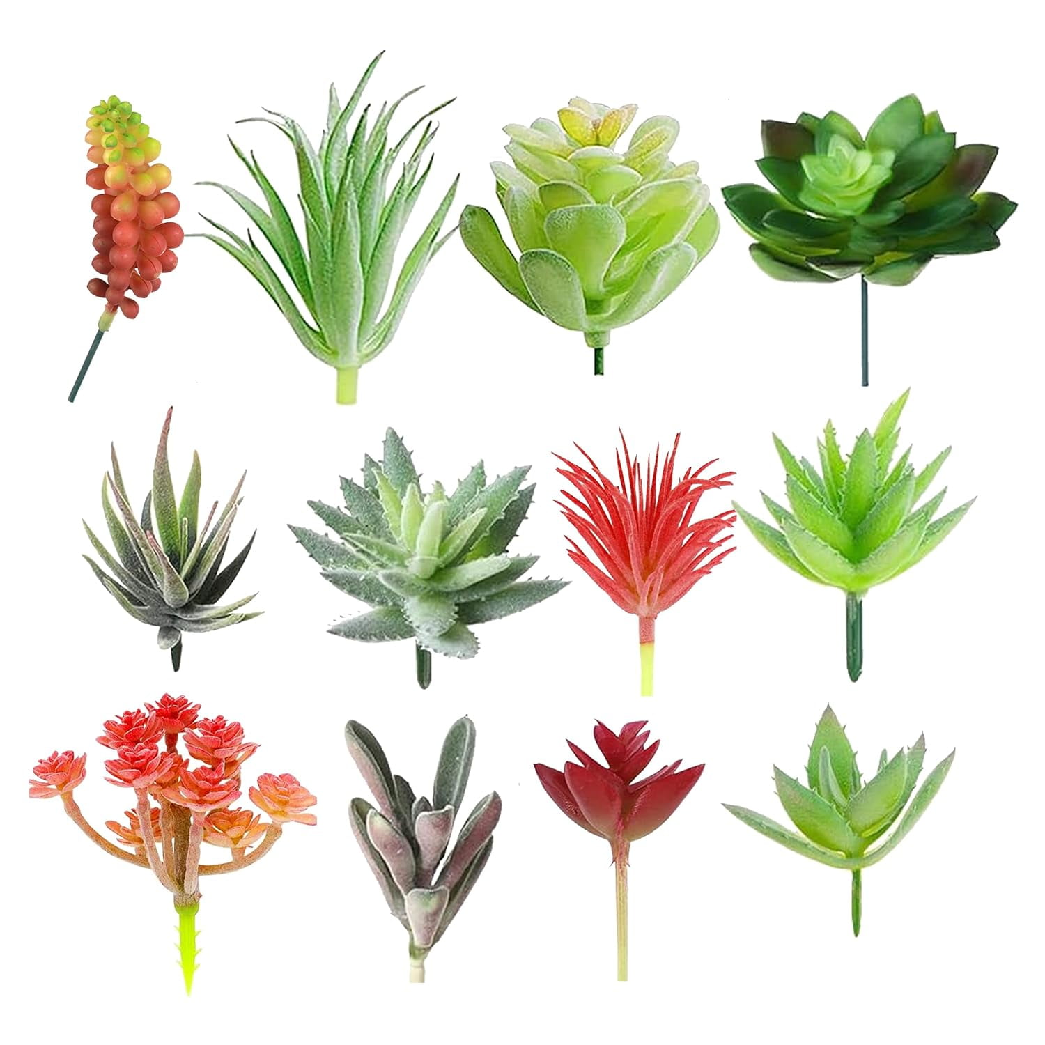 TIED RIBBONS Plastic Pack Of 12 Artificial Succulent Plants Flowers ...
