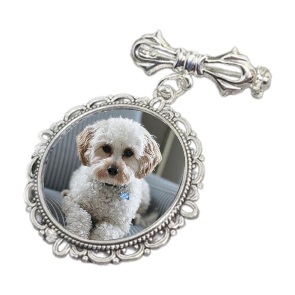 TIERPOP Fashionable Lapel Pin for Women Photo Frame Charm Brooch ...