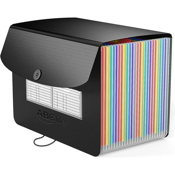 Alphabetical File Organizer