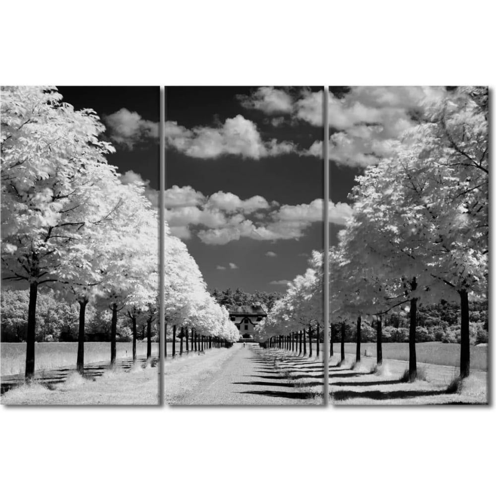 TISHIRON 3PCS Framed Black and White Tree Landscape Theme Canvas Wall ...