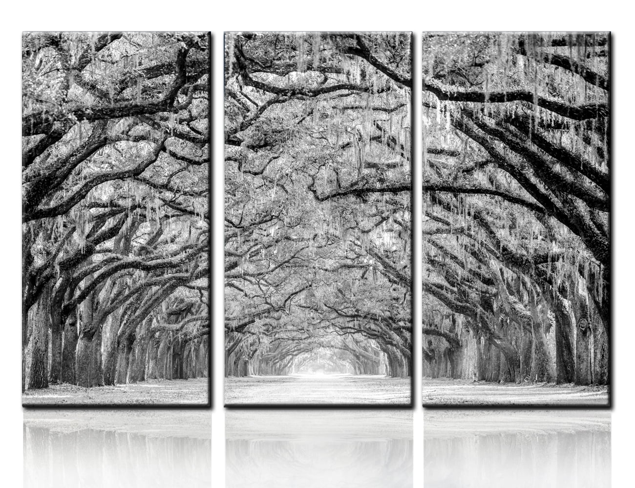 TISHIRON 3PCS 60"x40" Live Oak Trees with Moss, Framed Canvas Wall Art ...