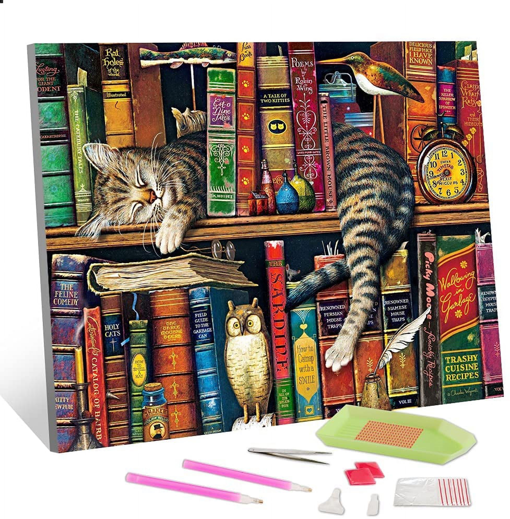 DIY 5D Full Round Diamond Painting Kit Diamond Art Kits for Adults ...