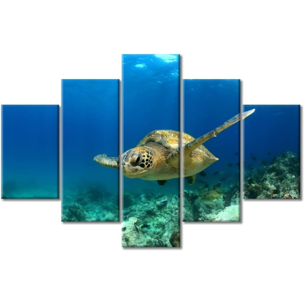 TISHIRON 5PCS Framed Beach Theme Canvas Wall Art Set,60"x40" Deep Sea ...