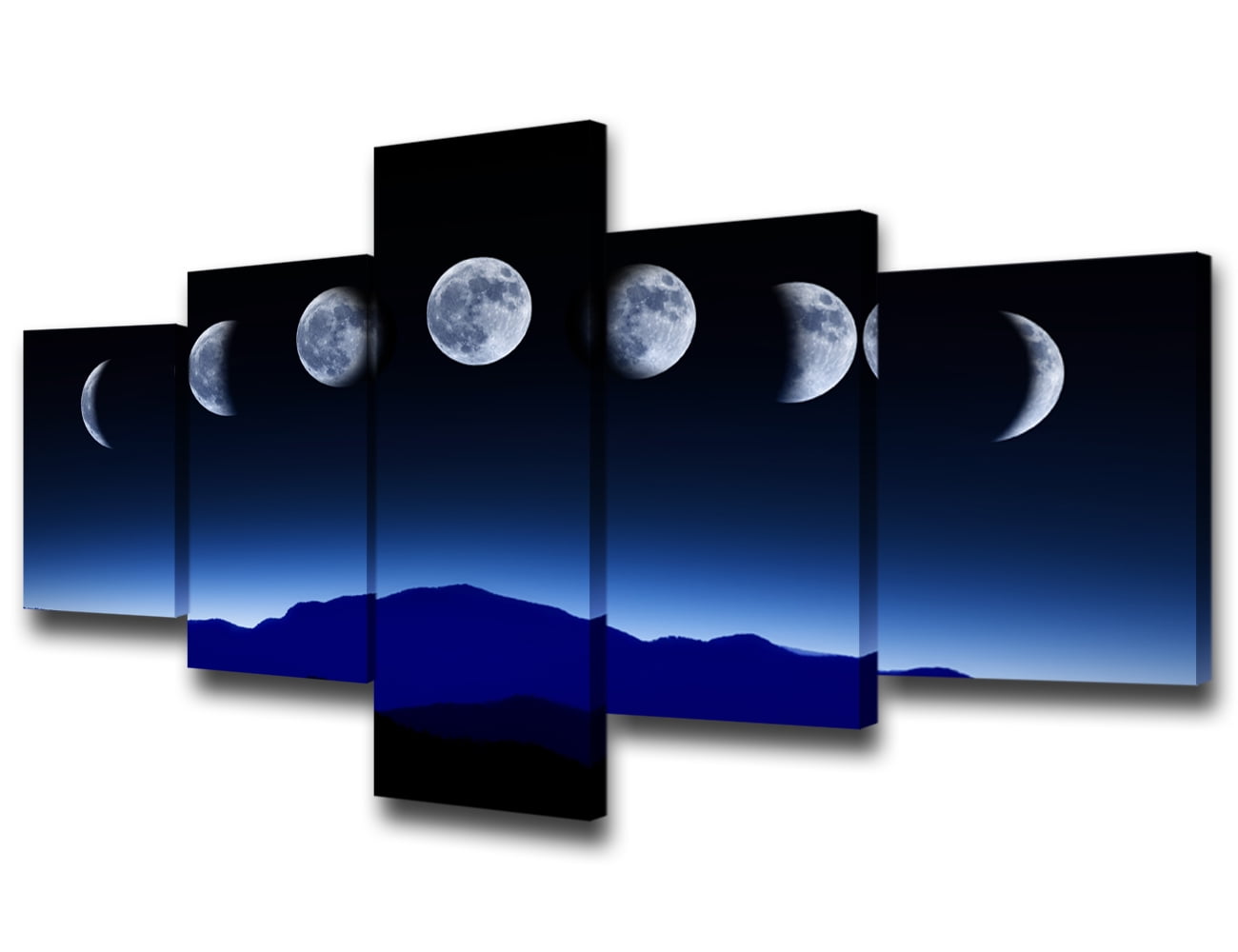 TISHIRON 5PCS Framed Canvas Wall Art Set,50"x24" Full Growth Cycle of ...