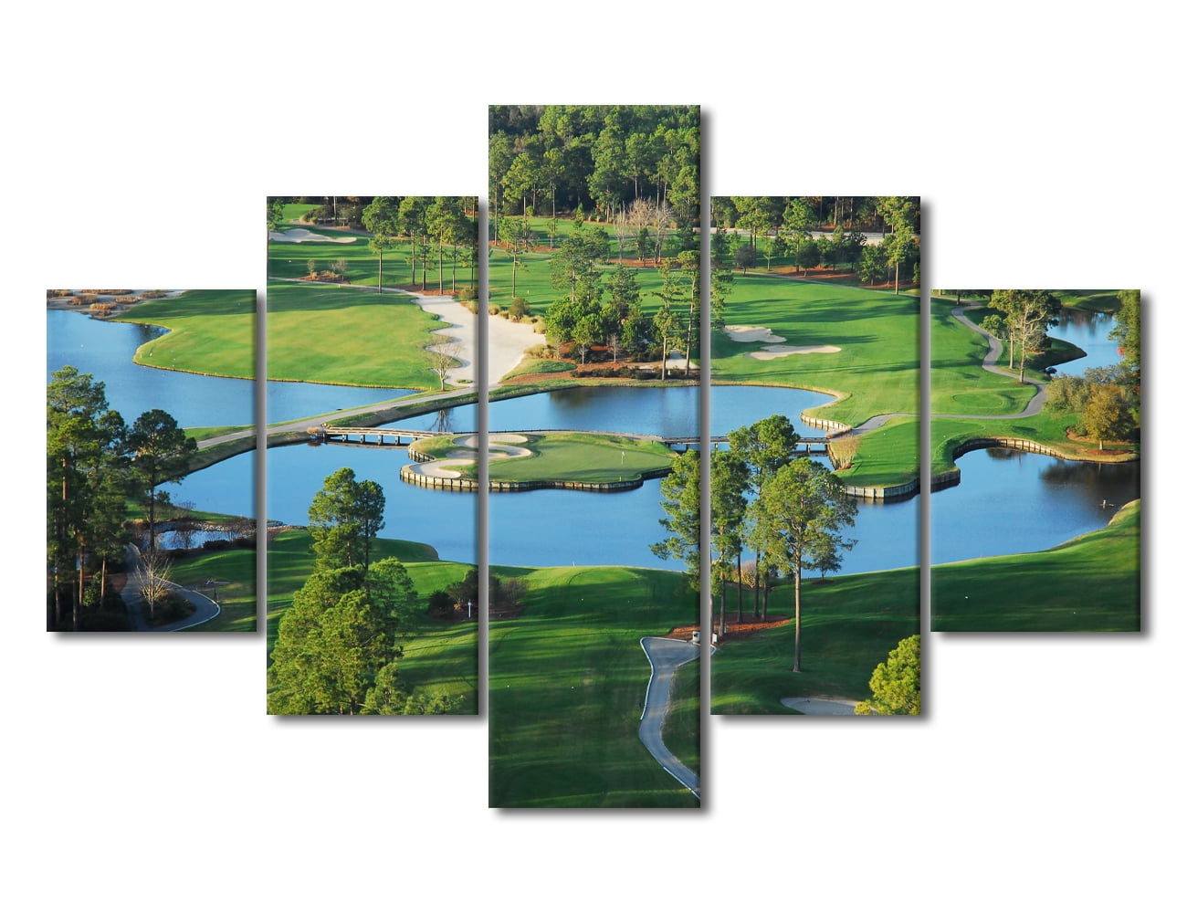 TISHIRON 5PCS Framed Canvas Wall Art Set,60"x40" Myrtle Beach National ...