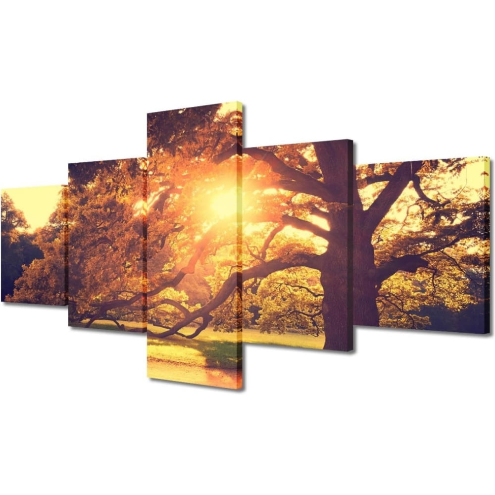 TISHIRON 5PCS Framed Forest Landscape Theme Canvas Wall Art Set,50"x24 ...