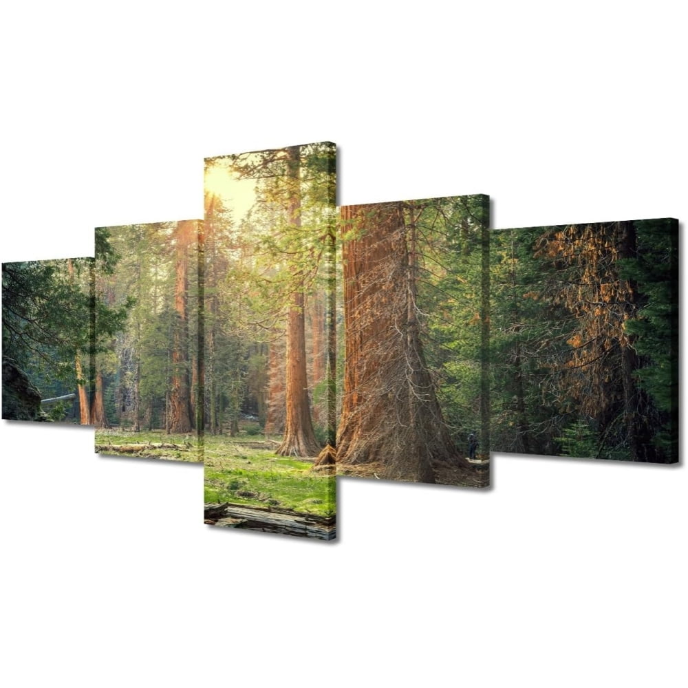 TISHIRON 5PCS Framed Forest Landscape Theme Canvas Wall Art Set,50"x24 ...