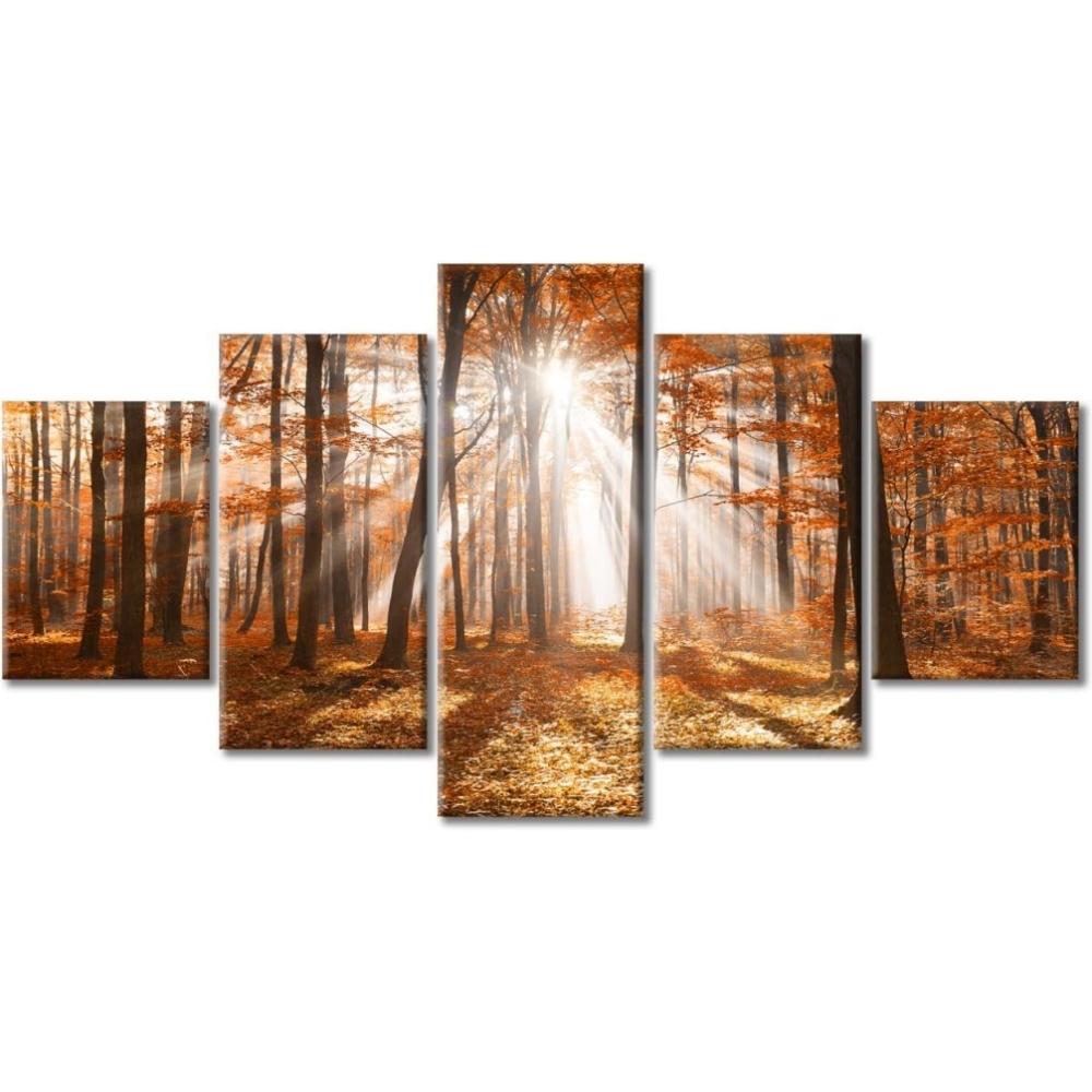 TISHIRON 5PCS Framed Forest Landscape Theme Canvas Wall Art Set,60"x32 ...