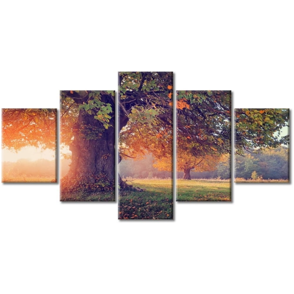 TISHIRON 5PCS Framed Forest Landscape Theme Canvas Wall Art Set,60"x32 ...