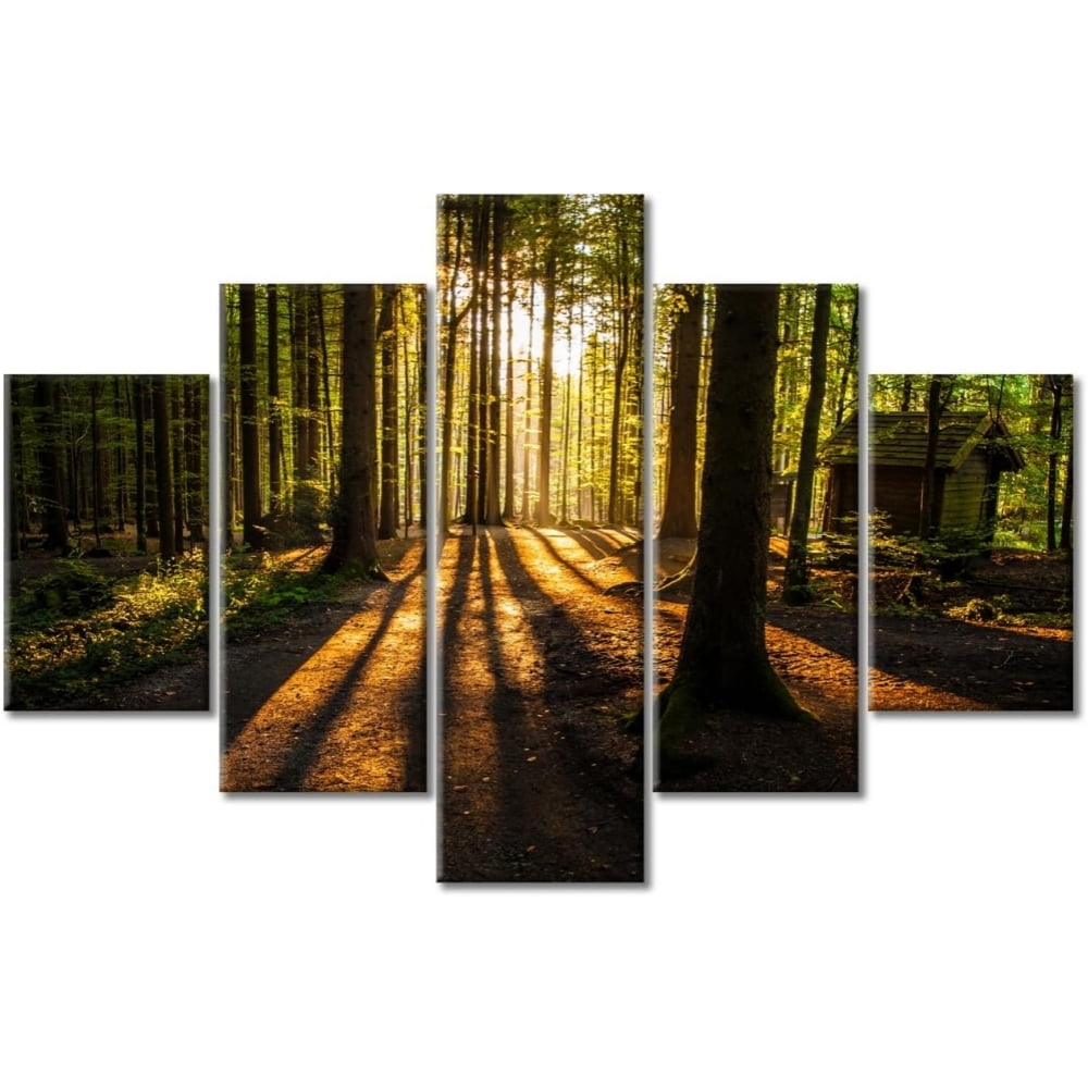 TISHIRON 5PCS Framed Forest Landscape Theme Canvas Wall Art Set,60"x40 ...