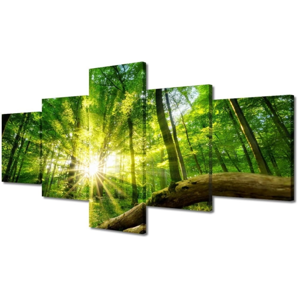 TISHIRON 5PCS Framed Forests Landscape Theme Canvas Wall Art Set,50"x24 ...