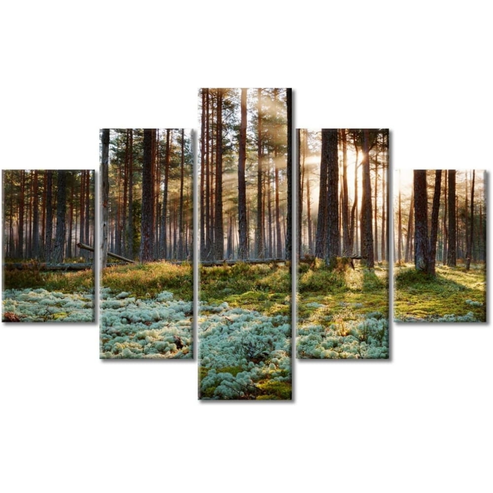 TISHIRON 5PCS Framed Forests Landscape Theme Canvas Wall Art Set,60"x40 ...